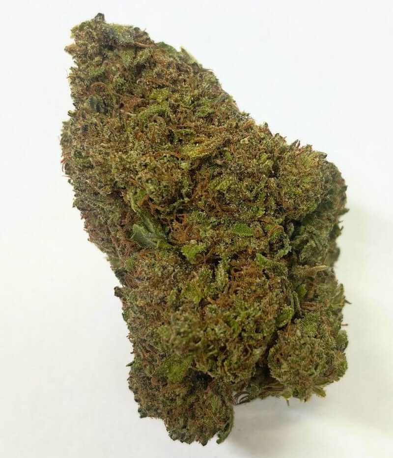 MANDARIN COOKIE - Indoor CBD flower - 24H delivery - CBDOO.com
