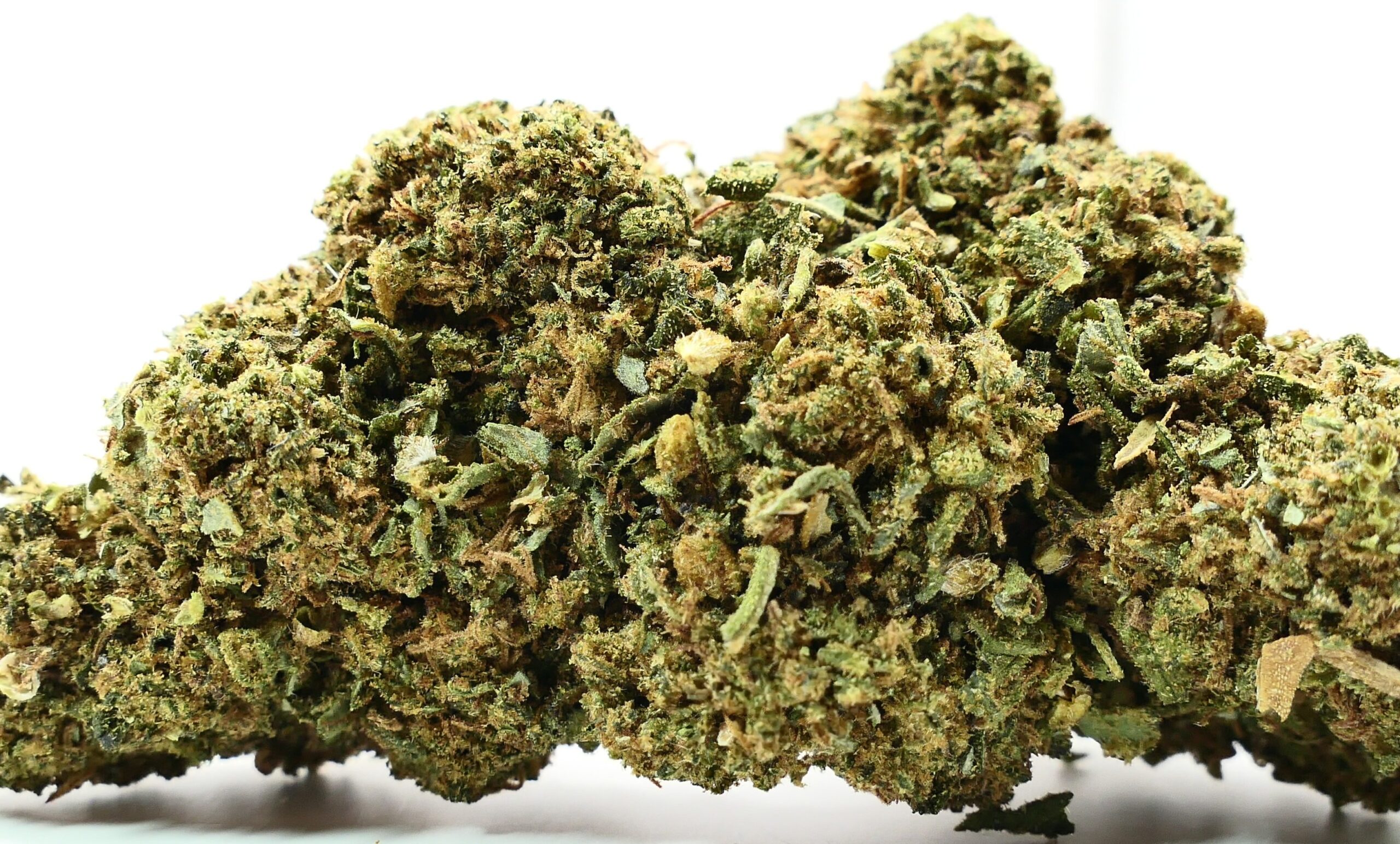 Gelato CBD 20 % - Fleur CBD indoor au gout fruité - CBDOO.fr