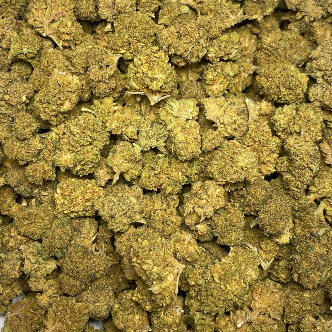 Small Bud Mango - Mini Buds CBD cultivées en indoor - CBDOO.fr