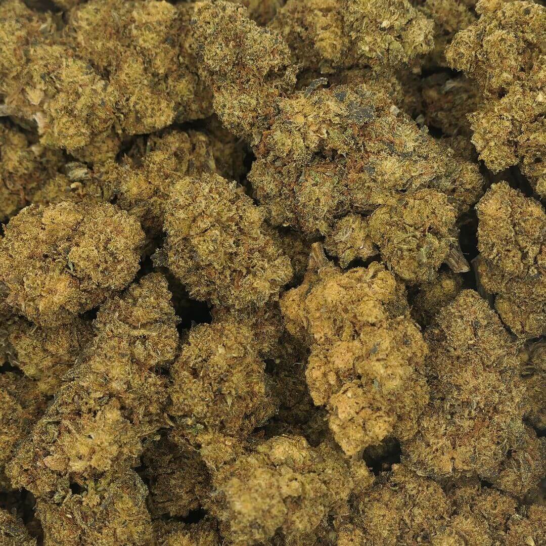 Spitfire - Souche MCPN aux effets puissants - CBDOO.fr